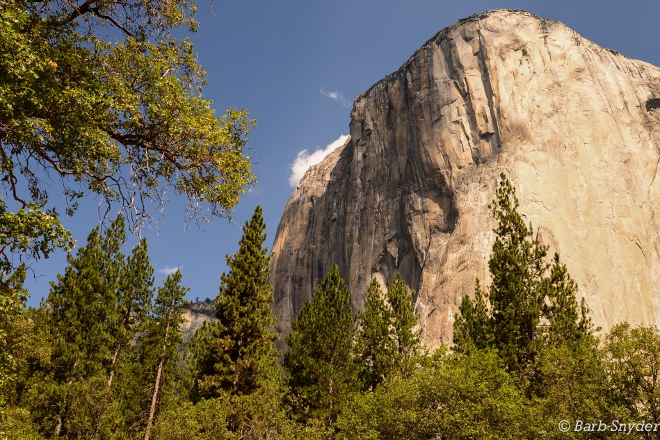 Yosemite! – from egghill